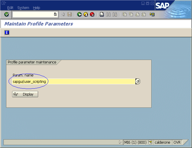 Enable scripting on the SAP application (server-side)